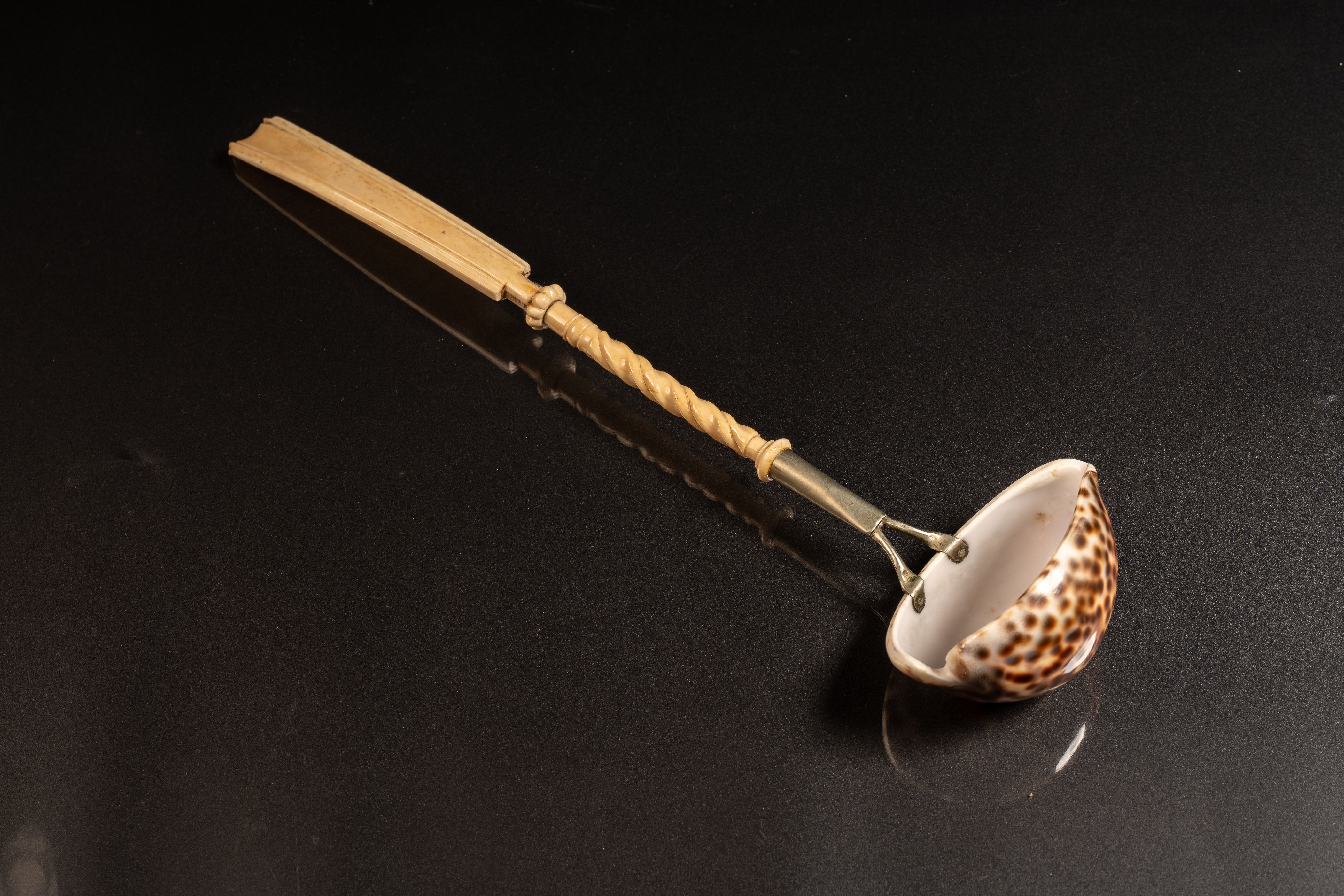 Vintage Cowrie Shell Ladle with Bakelite Handle – Industrial Artifacts