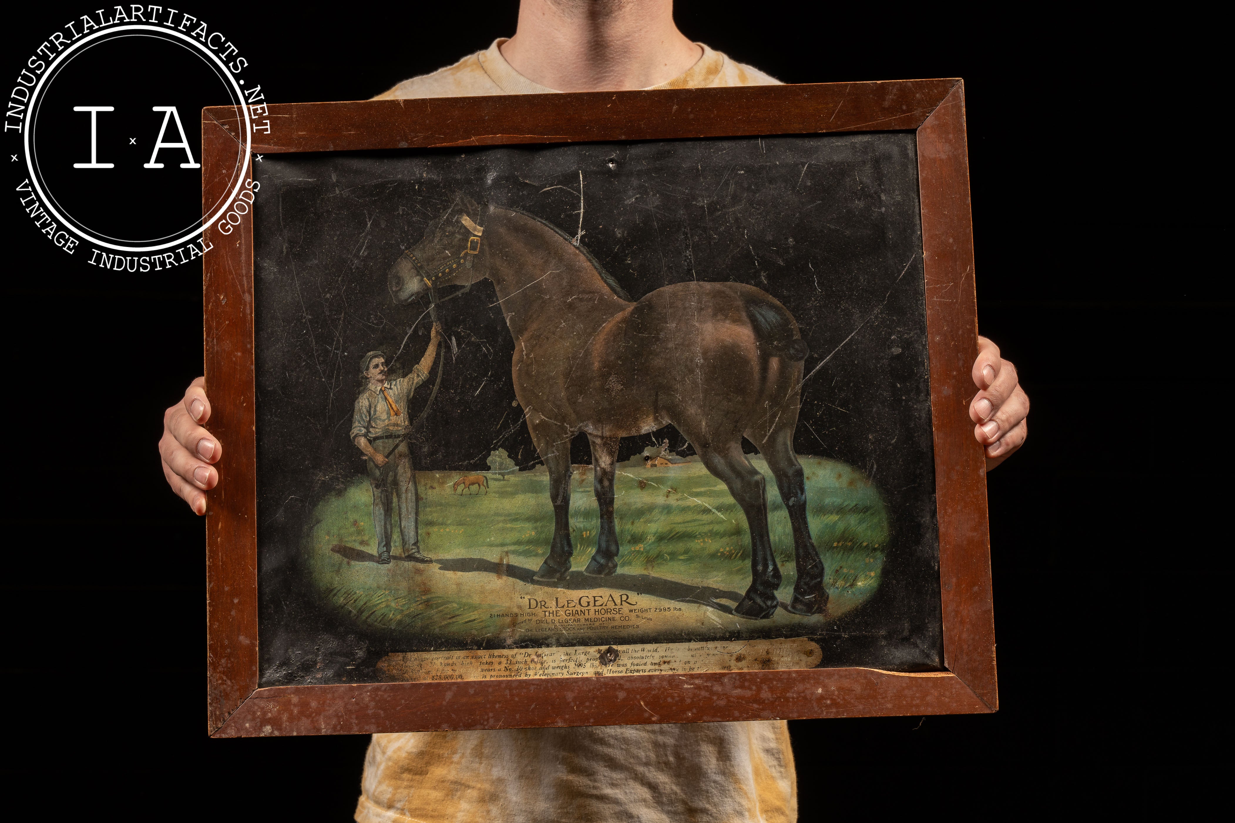 Framed Early 20th Century Dr. LeGear Tin Litho Advertising Sign ...