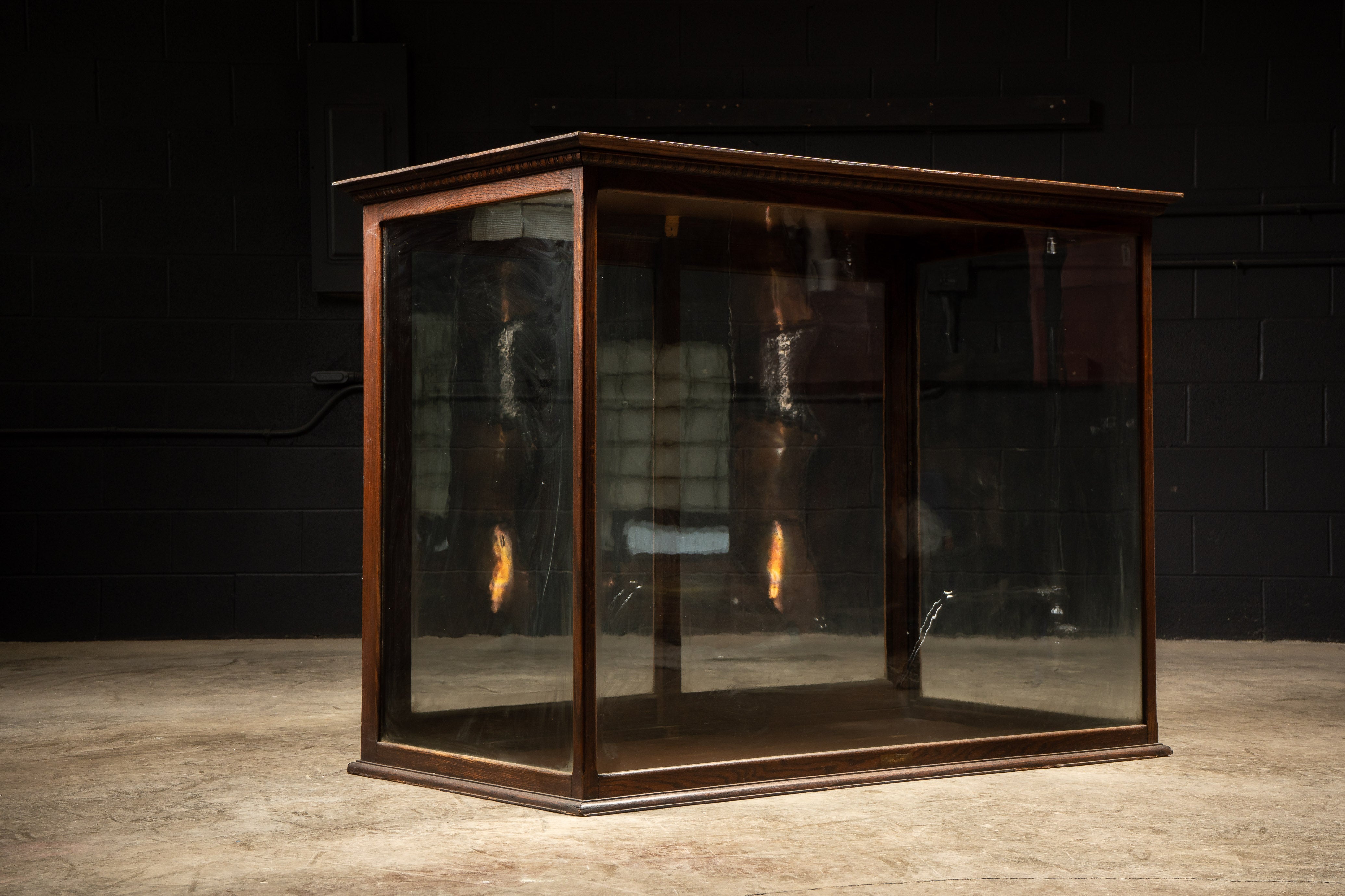 Antique Wooden Display Case – Industrial Artifacts