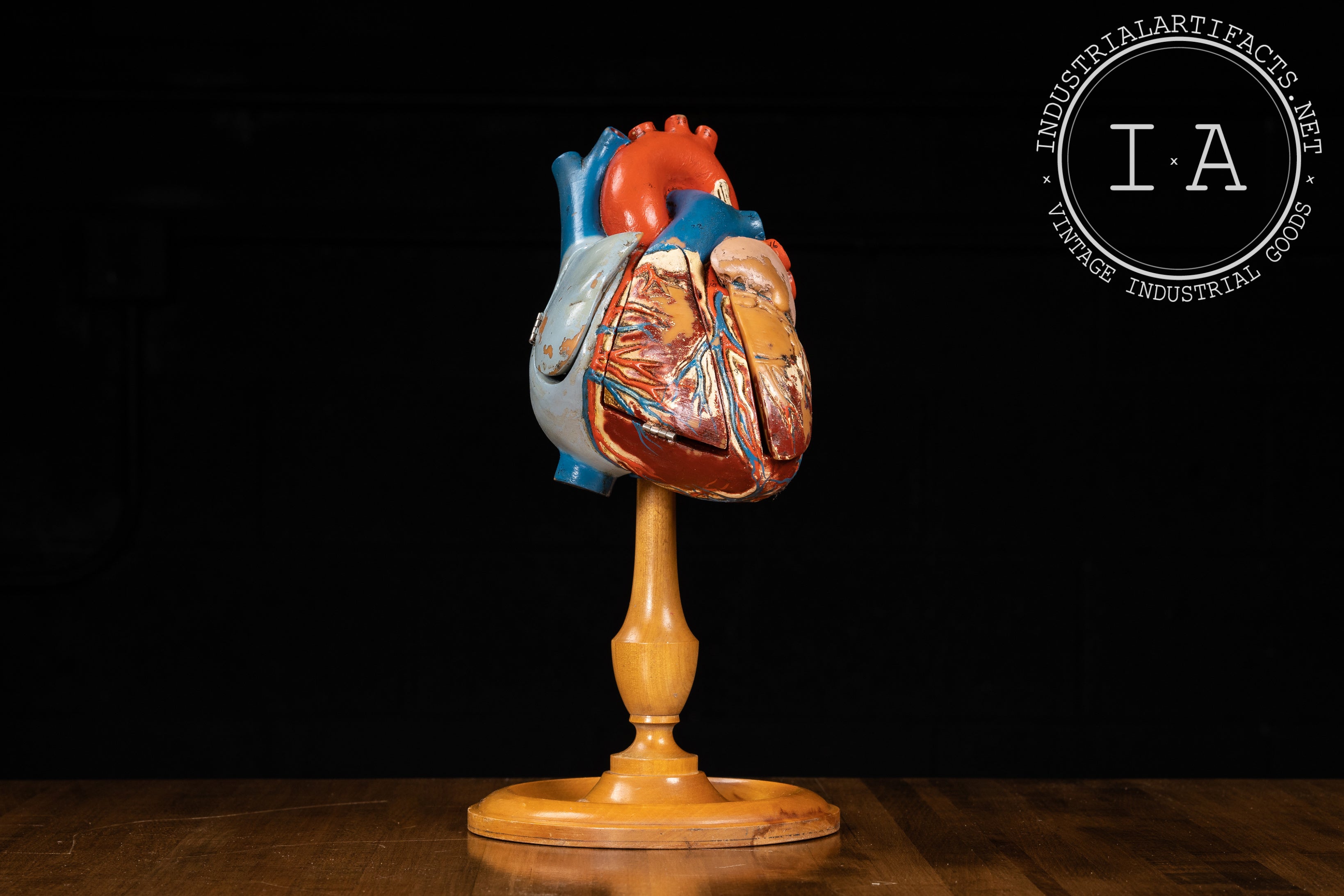 Large Vintage Laboratory Anatomical Heart Model – Industrial Artifacts